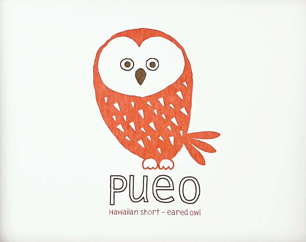 ART PRINT- PUEO – WIMINI HAWAII